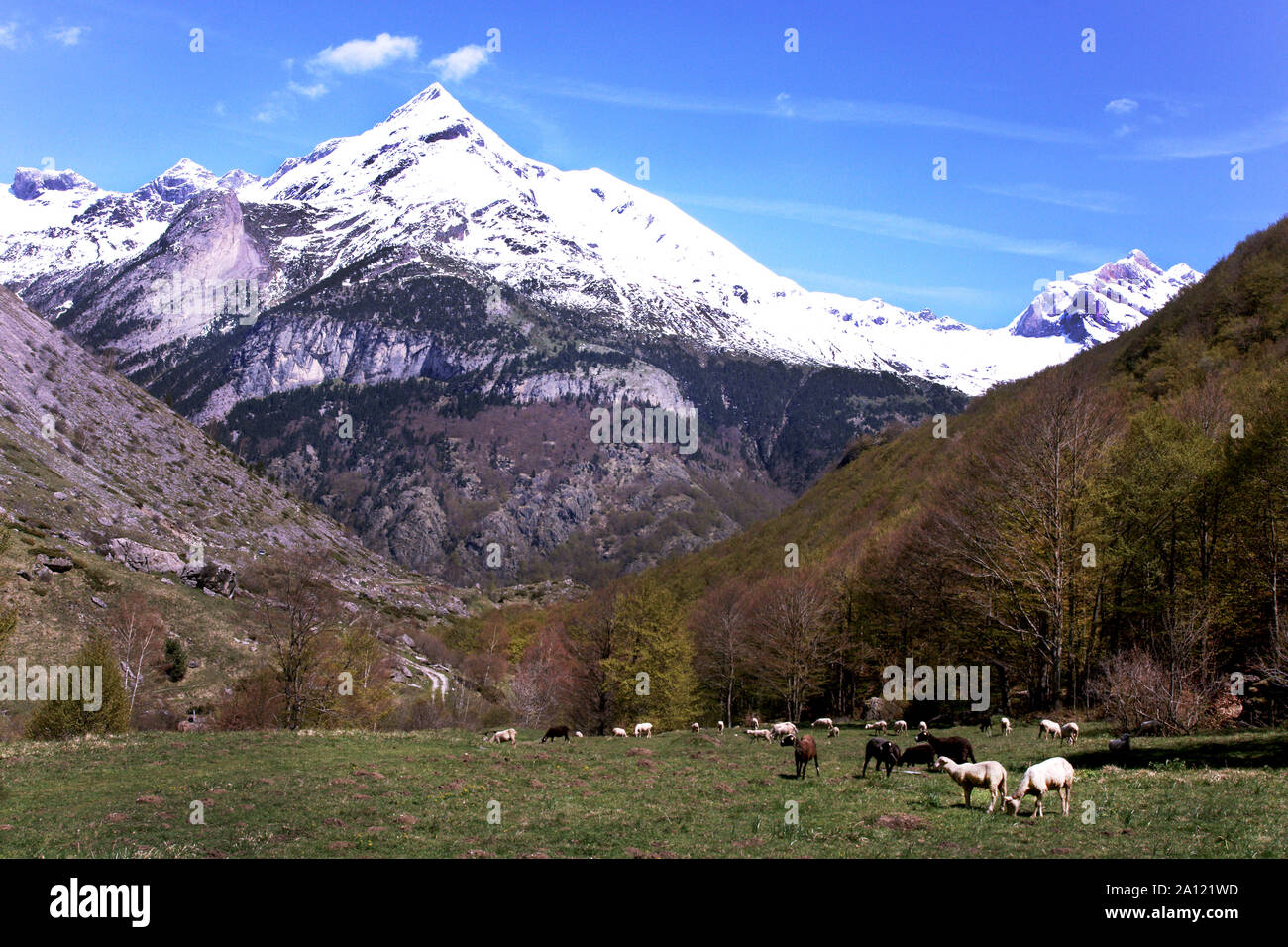 Mount pimene hi-res stock photography and images - Alamy