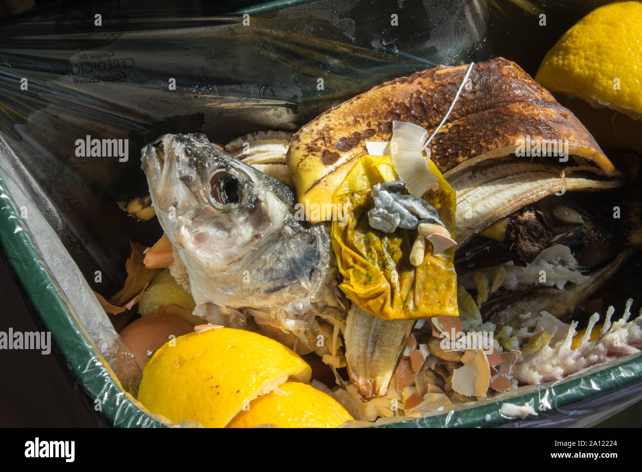 Food wastage bin hi-res stock photography and images - Alamy