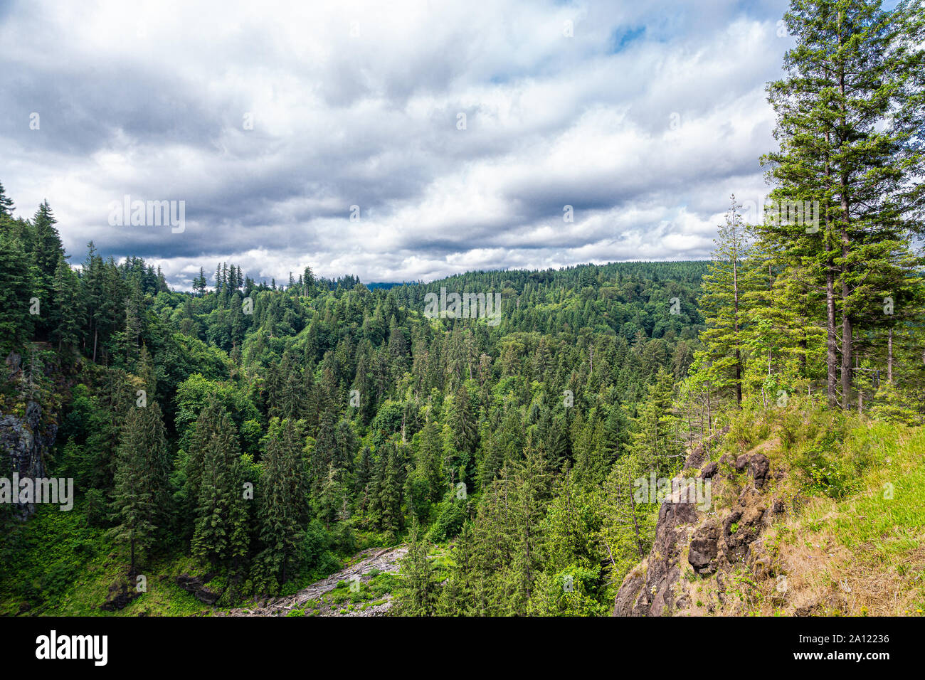 Water falls in evergreen forest hi-res stock photography and images - Alamy