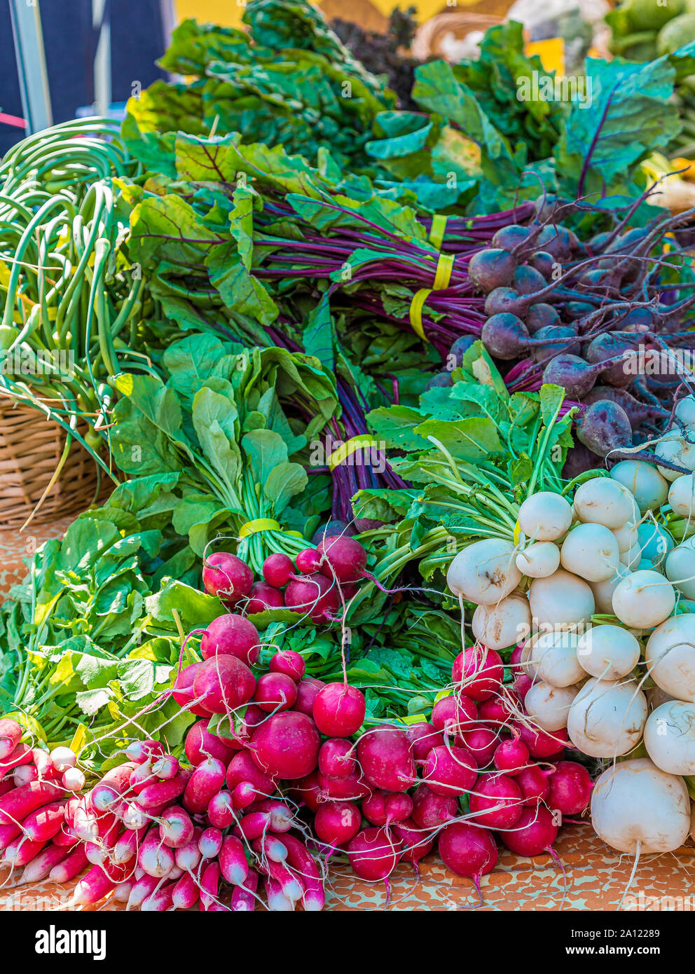 Four Kinds of Radishes Stock Photo - Alamy Four Kinds of Radishes Stock Photo - Alamy