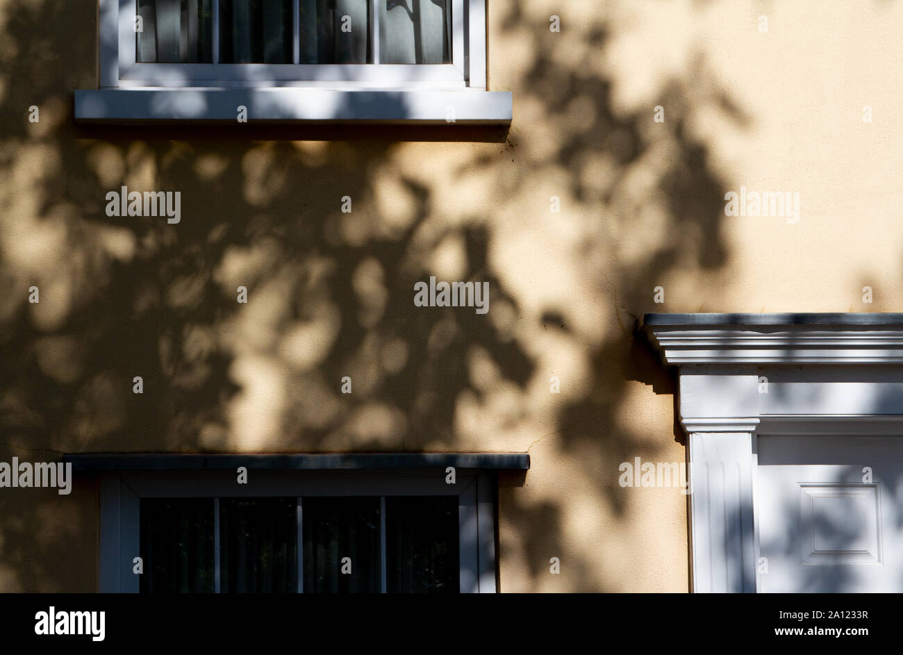 Dappled paint hi-res stock photography and images - Alamy