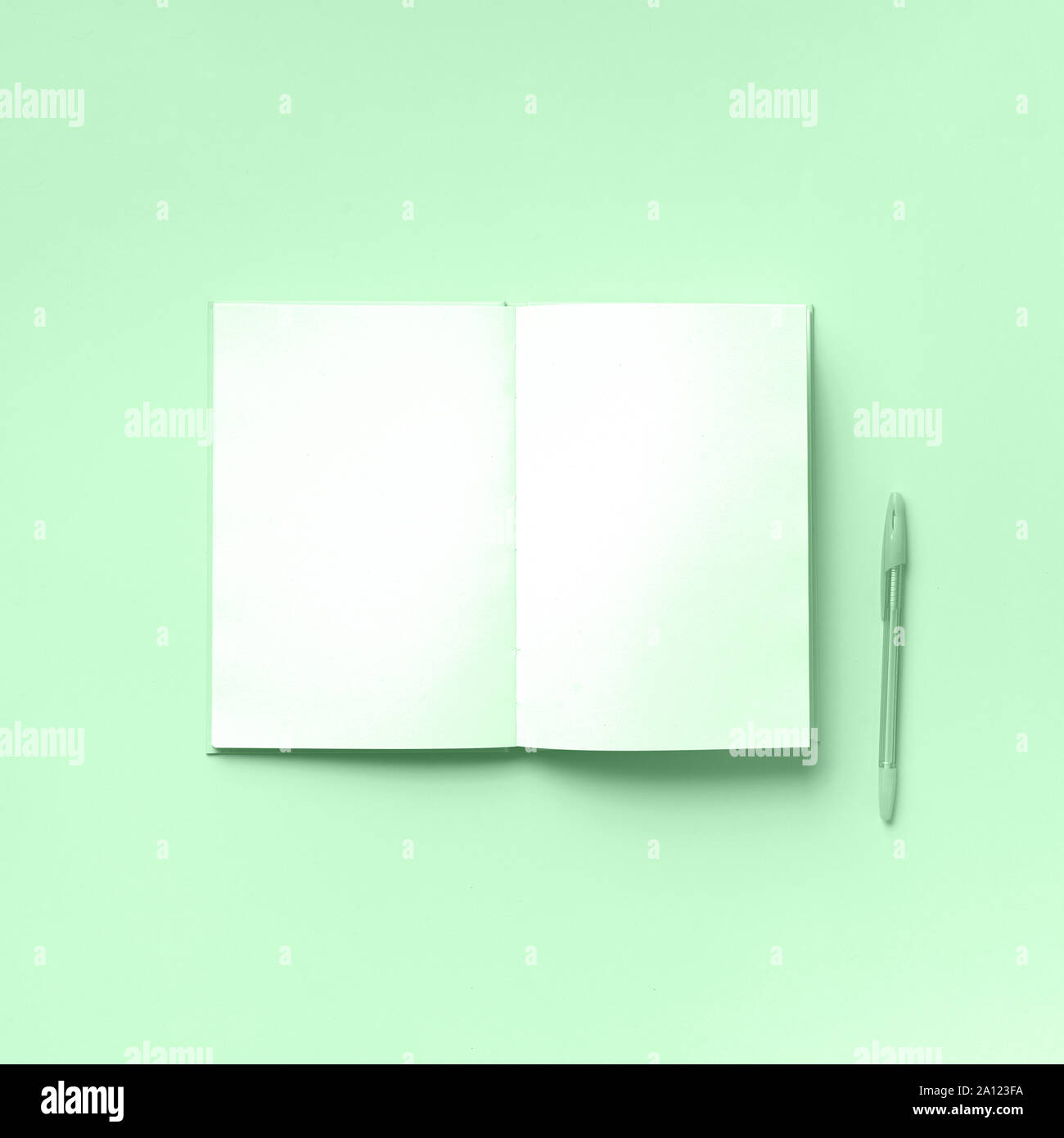 Top view of open pink notebook on trendy mint color background. Copy ...