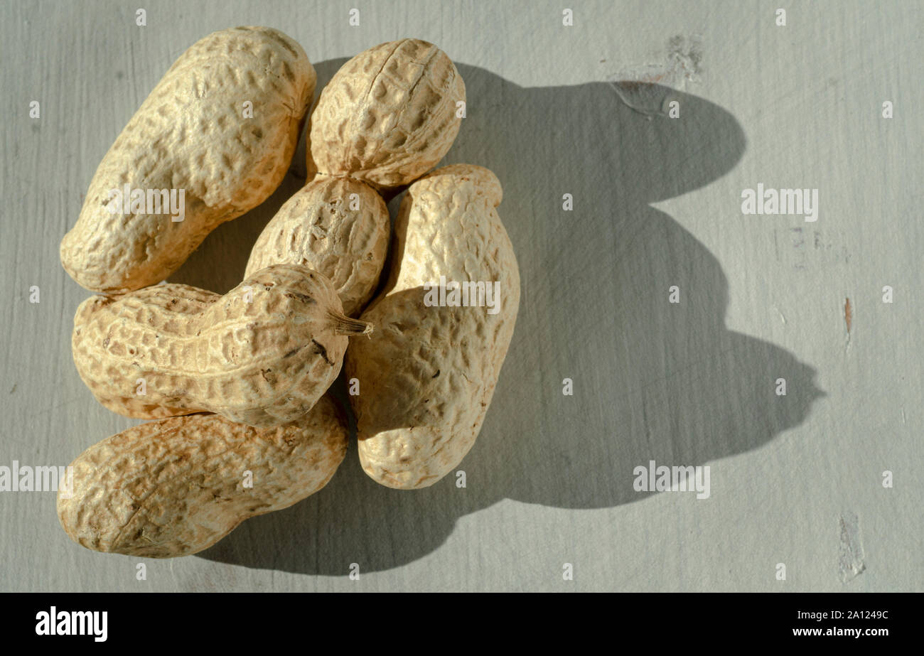 Dried Peanuts in Shells Stock Photo - Alamy