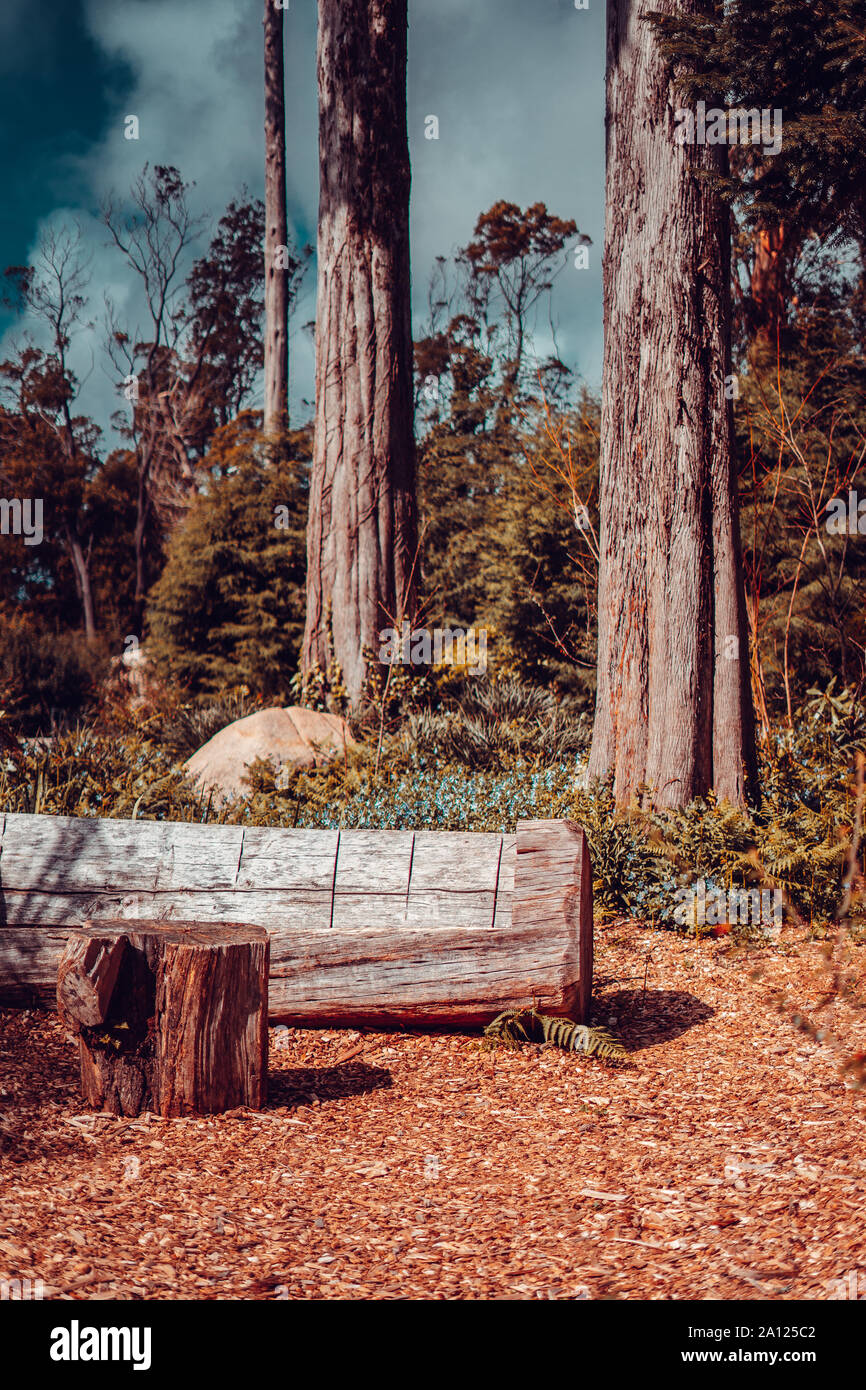Wilderness bench hi-res stock photography and images - Alamy
