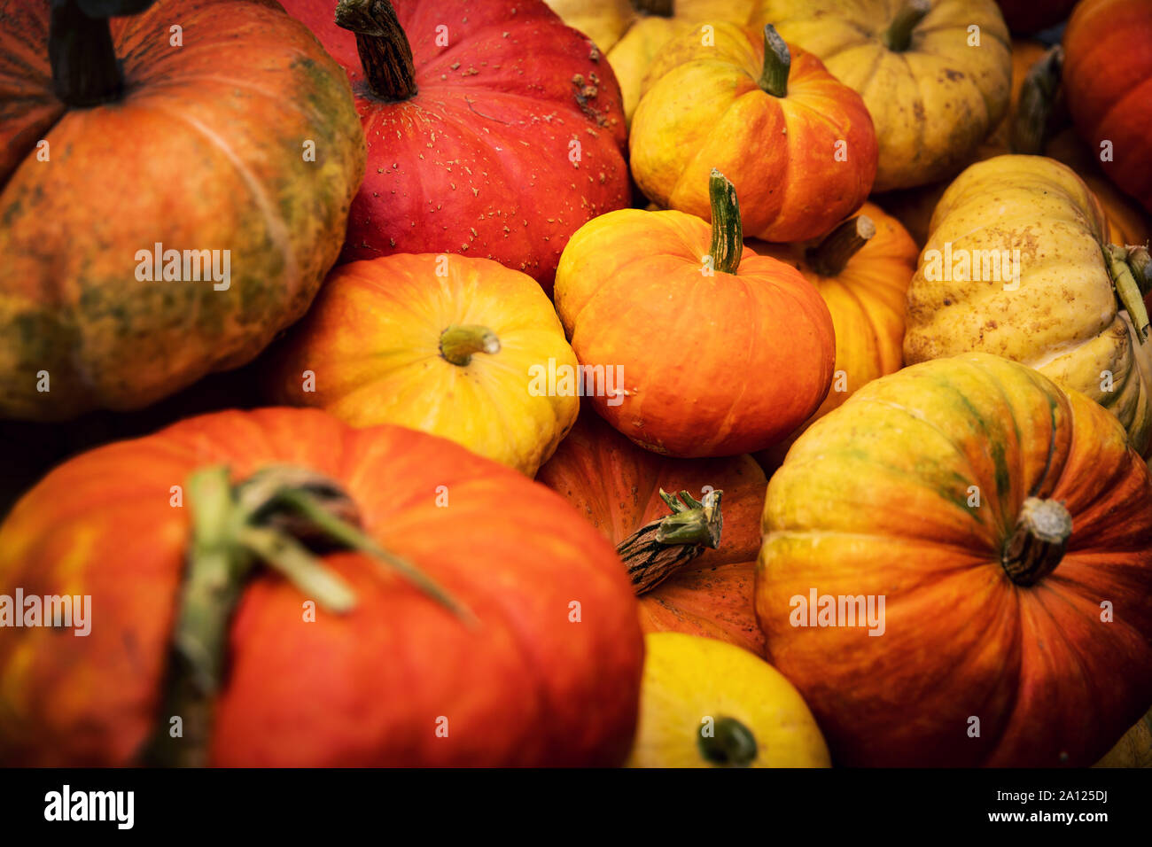 Pumpkin pile hi-res stock photography and images - Alamy