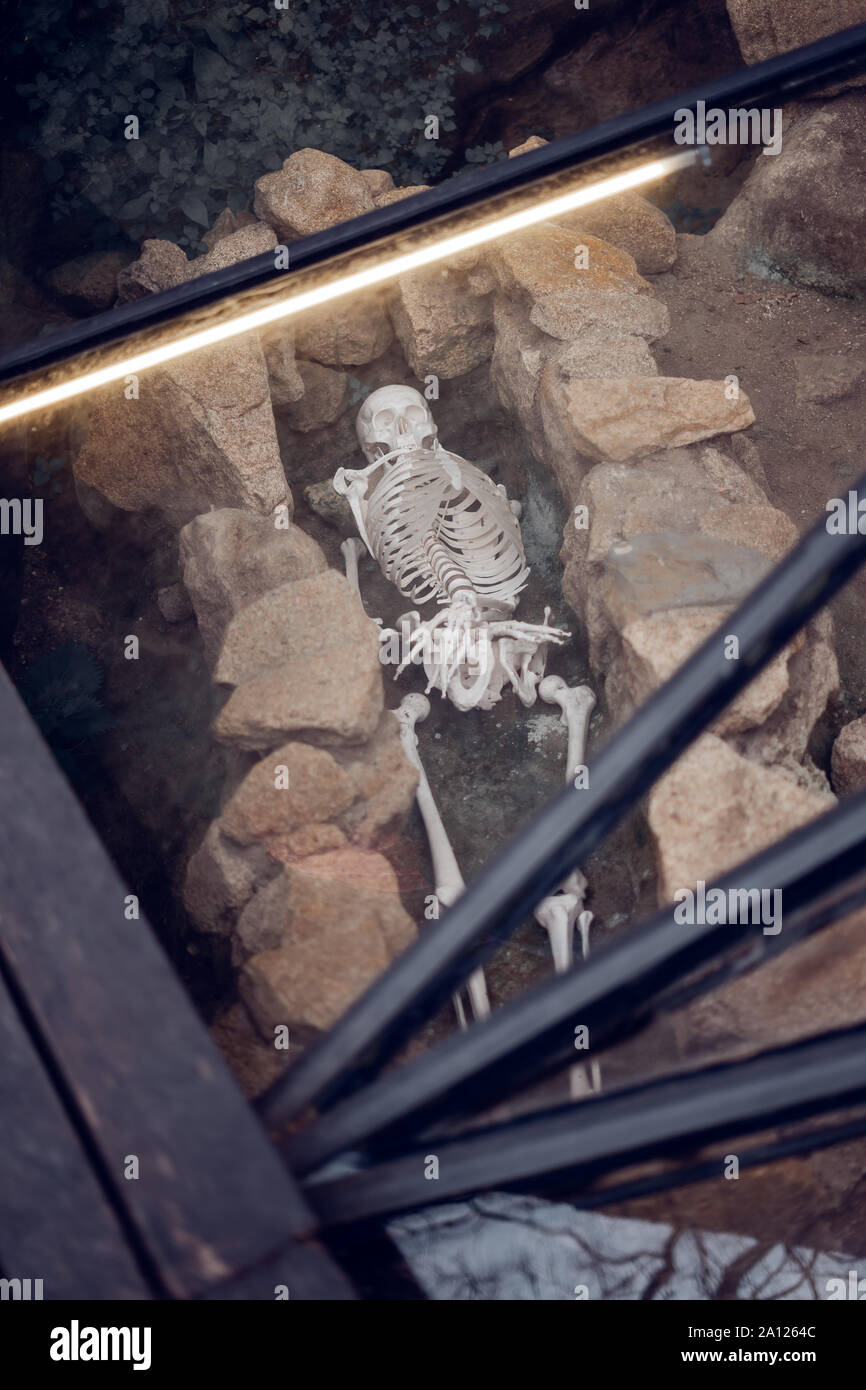 Human cadaver hi-res stock photography and images - Alamy