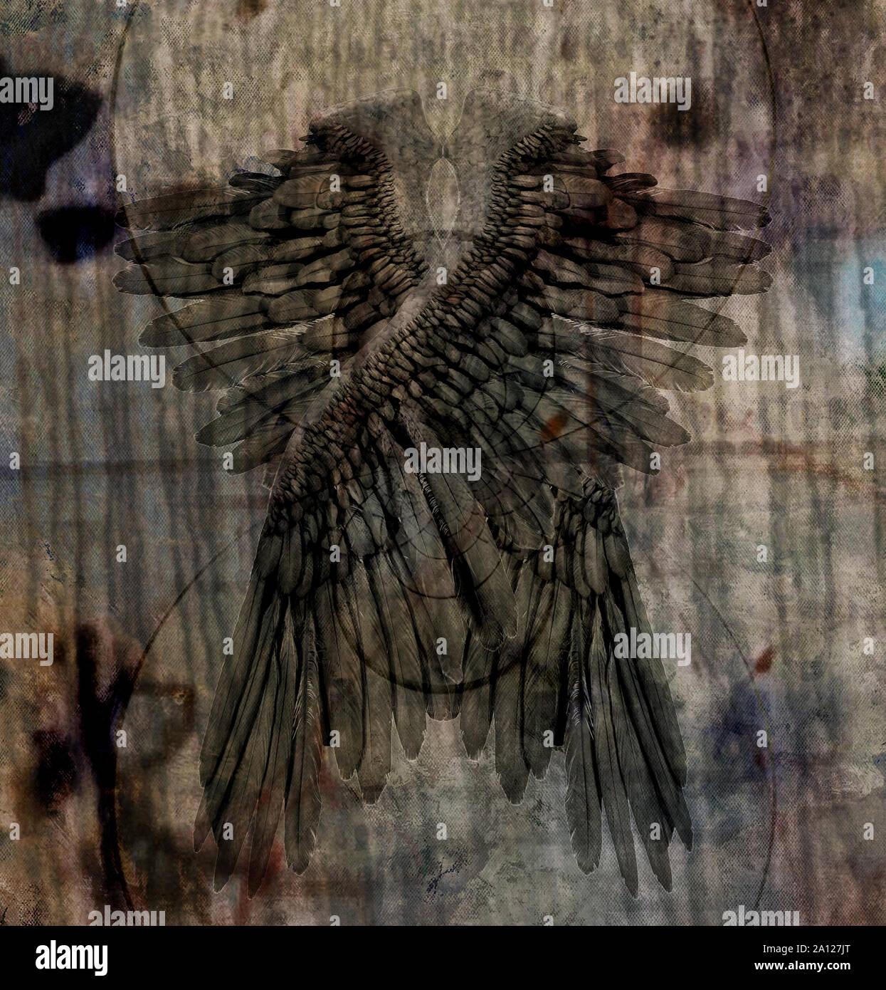 Dark art composition. Angels Wings Stock Photo - Alamy