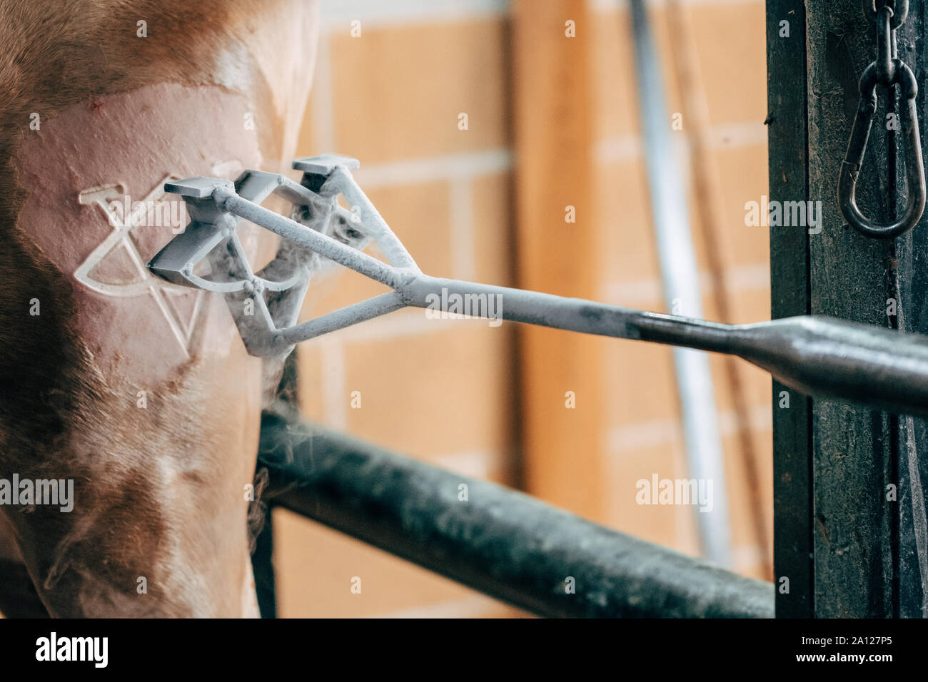 Steer branding hi-res stock photography and images - Alamy