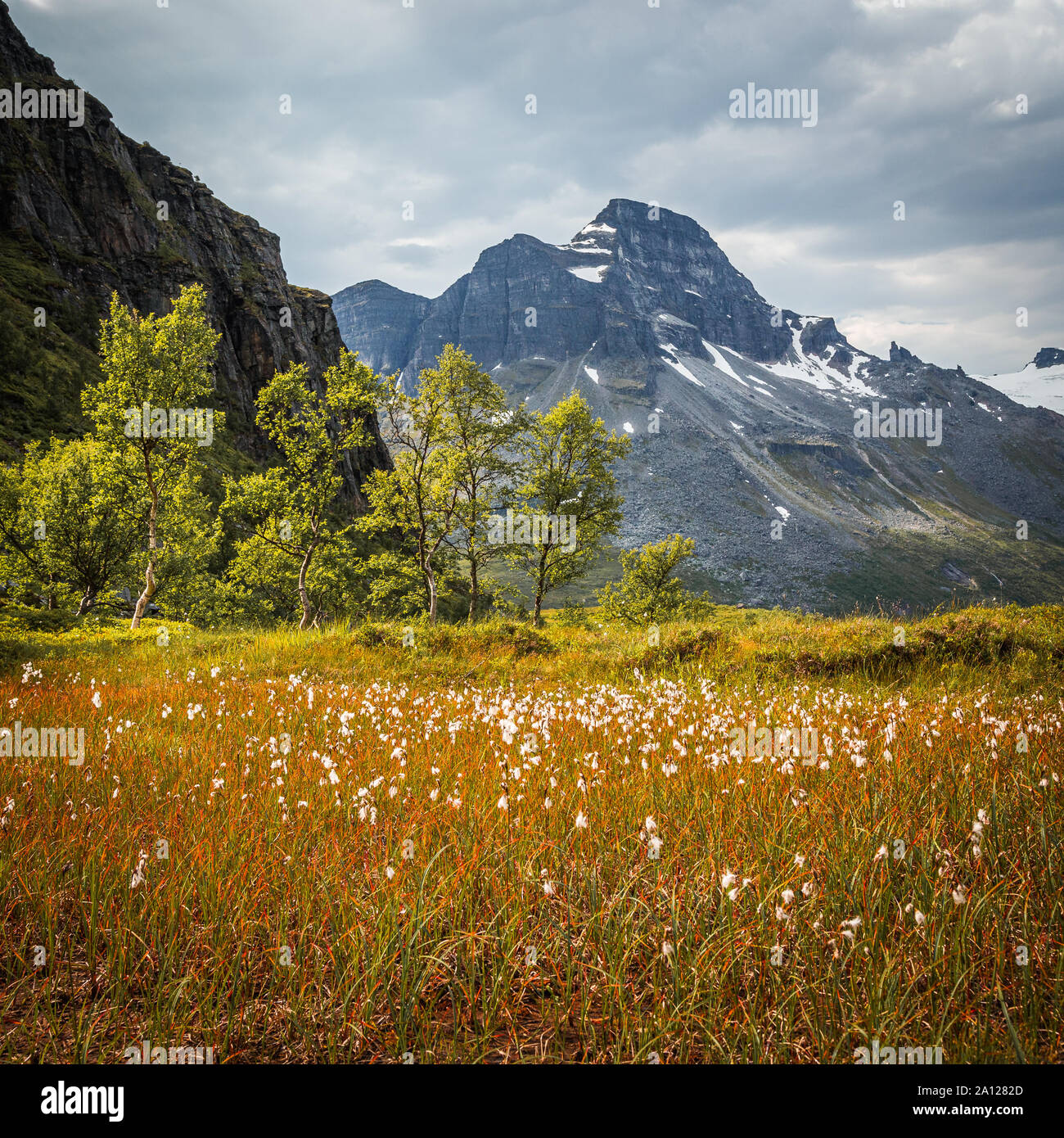 Norwegian national park hi-res stock photography and images - Alamy