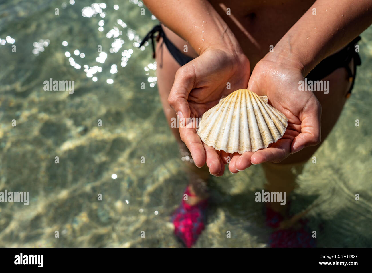 Shell vacations hi-res stock photography and images - Alamy