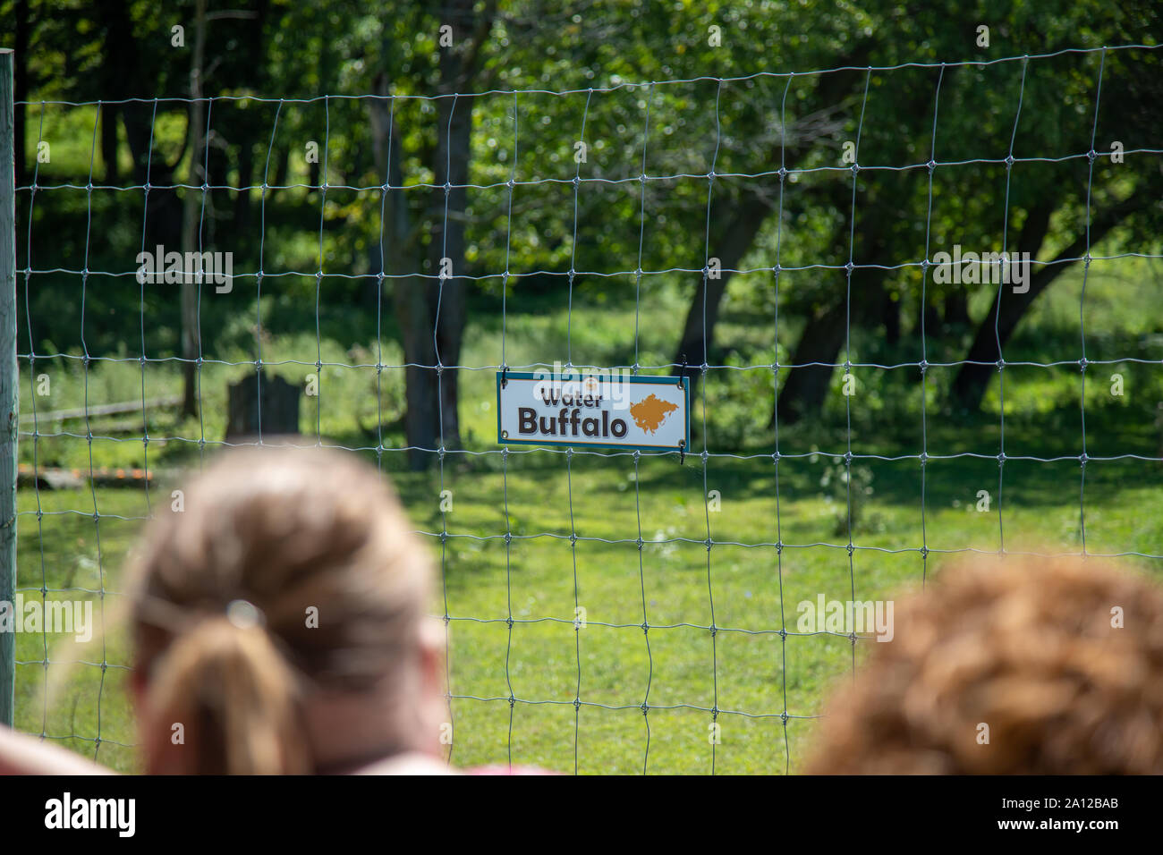 A sign for a water buffalo on an enclosure at a private zoo in Michigan ...
