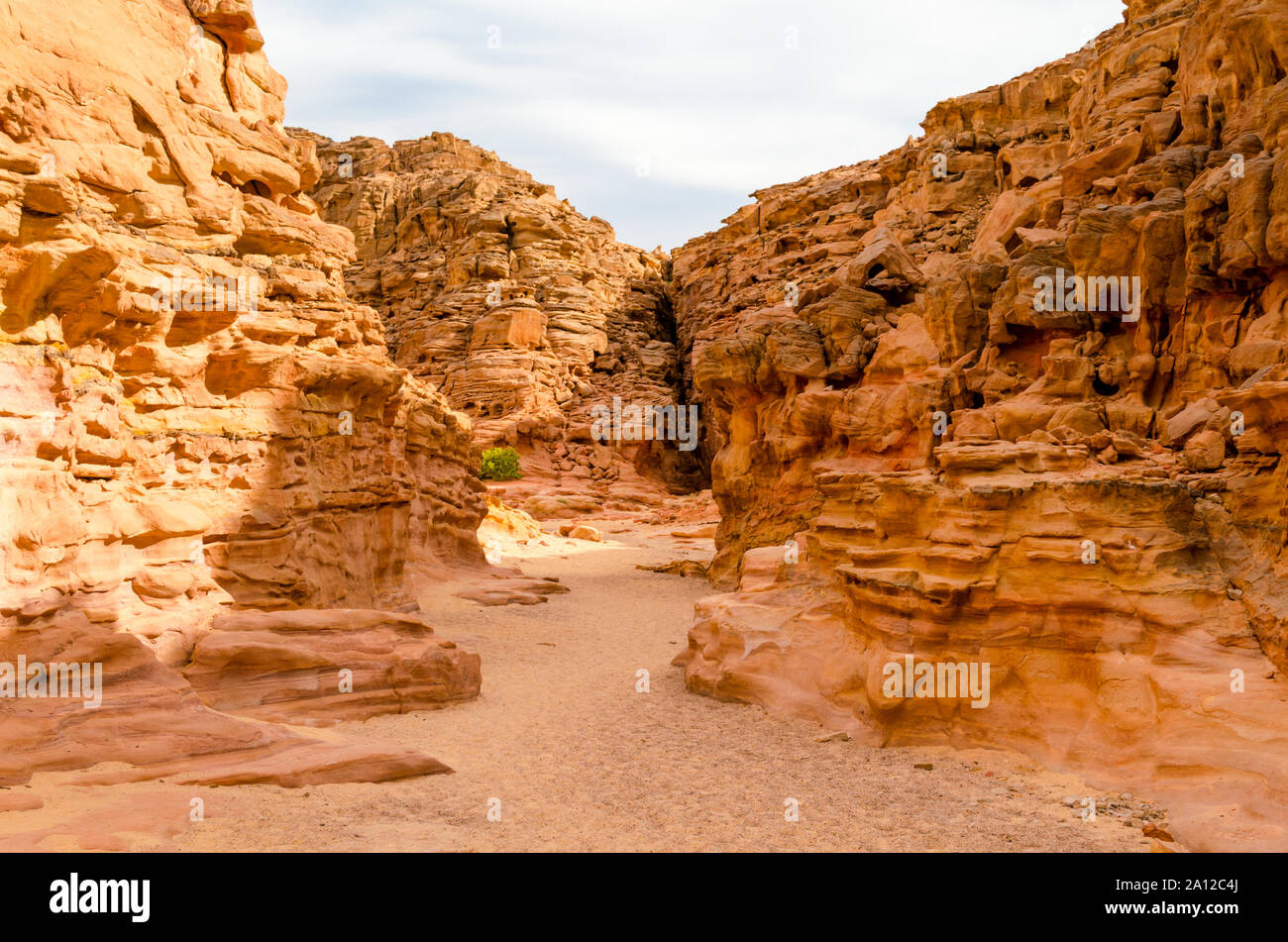 Gorge in sinai mountains egypt hi-res stock photography and images - Alamy
