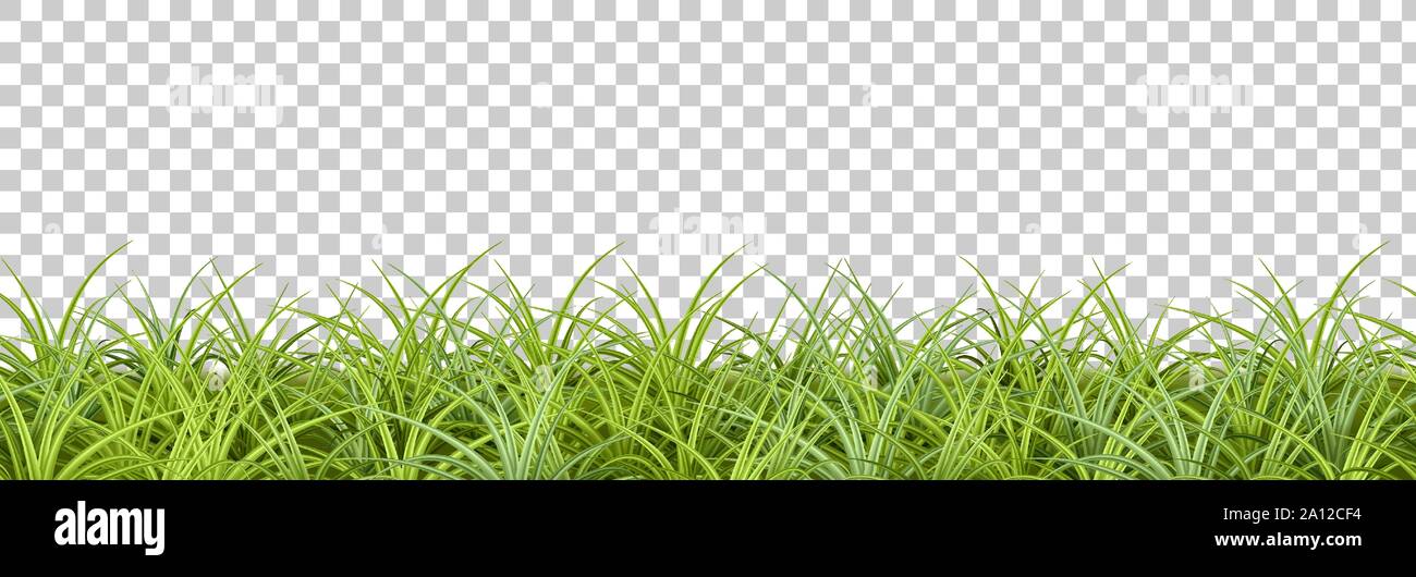Lawn garden border Stock Vector Images - Alamy
