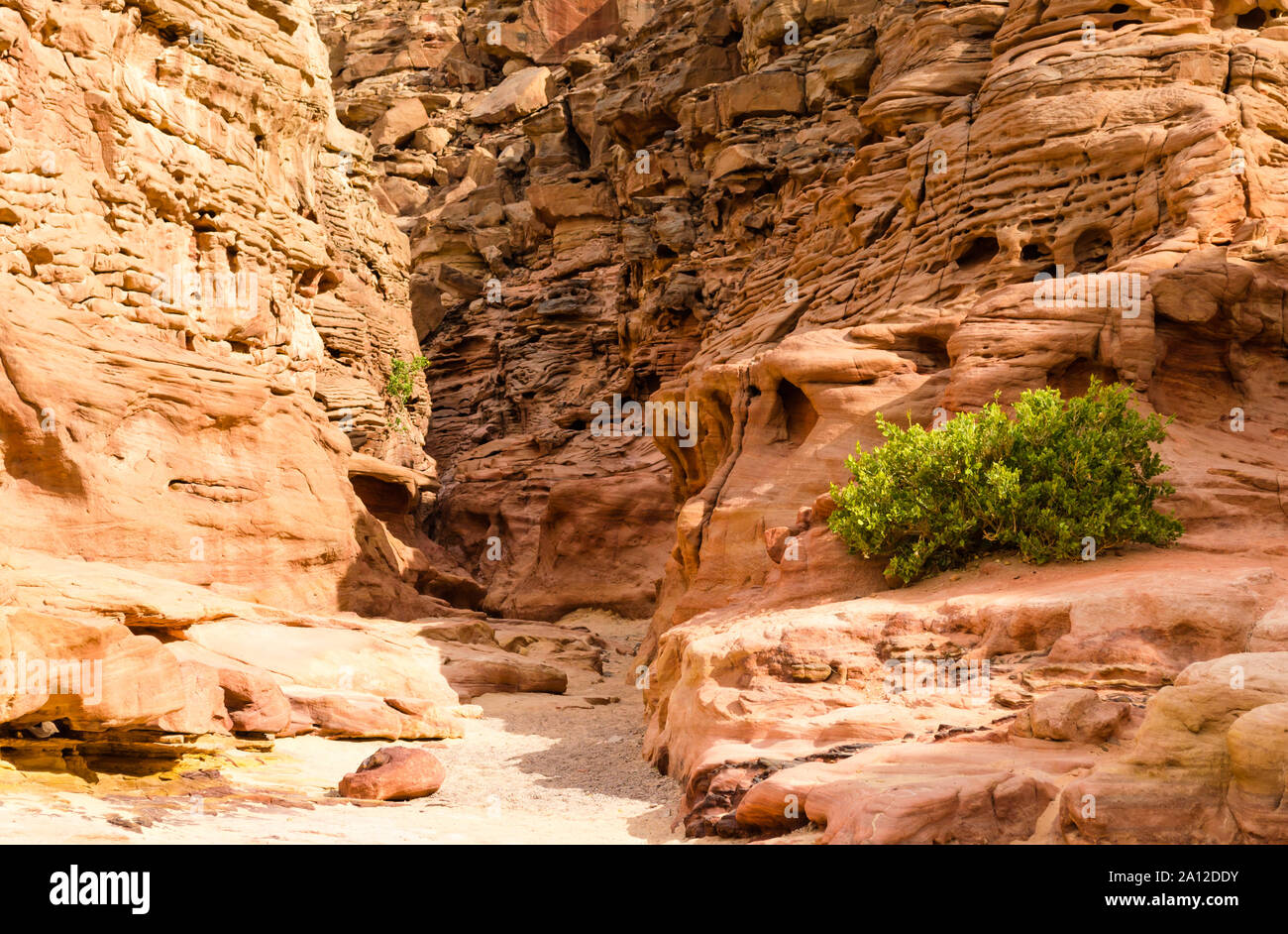 Gorge in sinai mountains egypt hi-res stock photography and images - Alamy