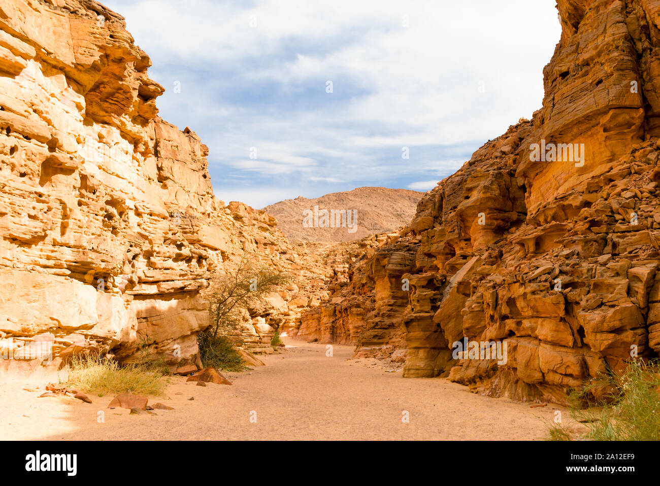 colored canyon in the desert in Egypt Stock Photo - Alamy