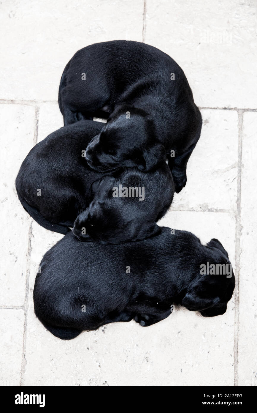Curled point hi-res stock photography and images - Alamy
