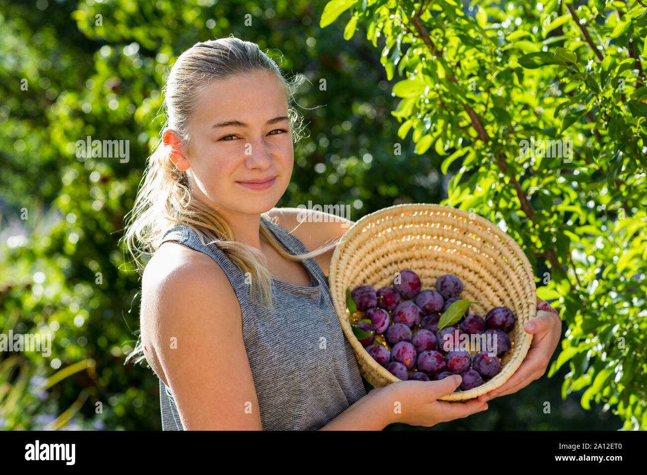 portrait of smiling 13 year old girl holding a basket of plums Stock ...