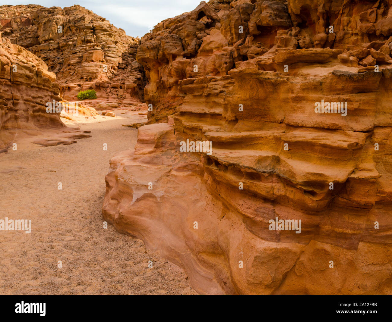 colored canyon in the desert in Egypt Stock Photo - Alamy