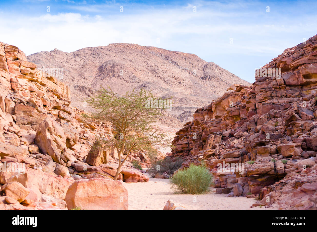 colored canyon in the desert in Egypt Stock Photo - Alamy
