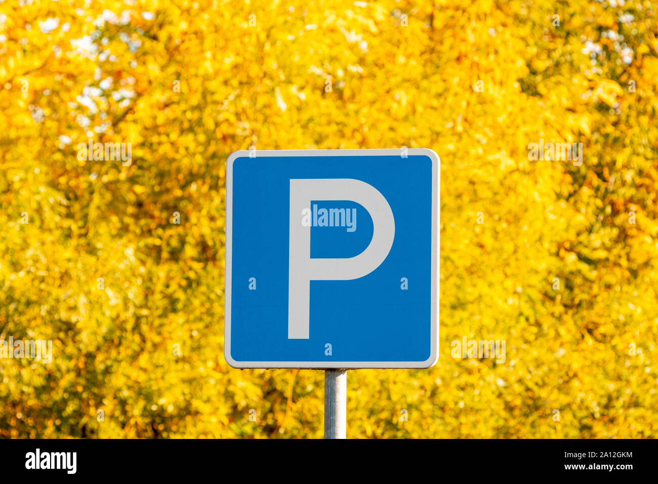 Parking sign on beautiful autumn trees background Stock Photo - Alamy
