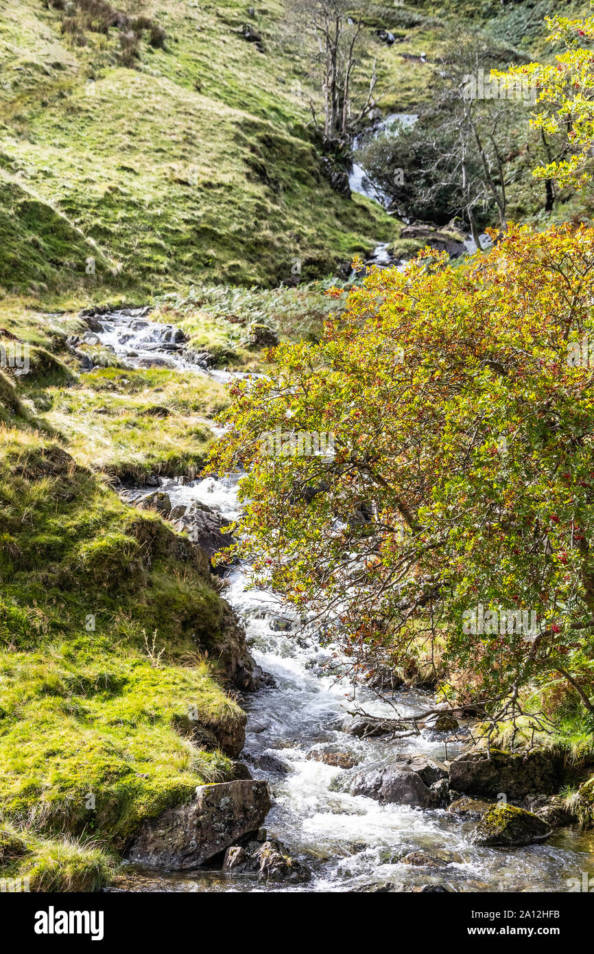 Cascada En Dovedale Beck