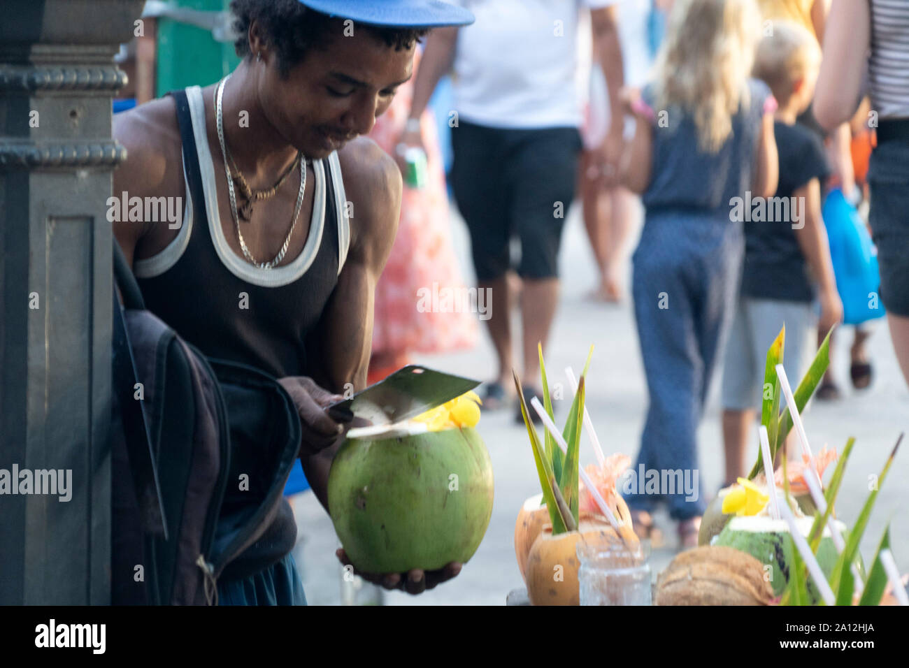 Seychelles blue pigeon hi-res stock photography and images - Alamy