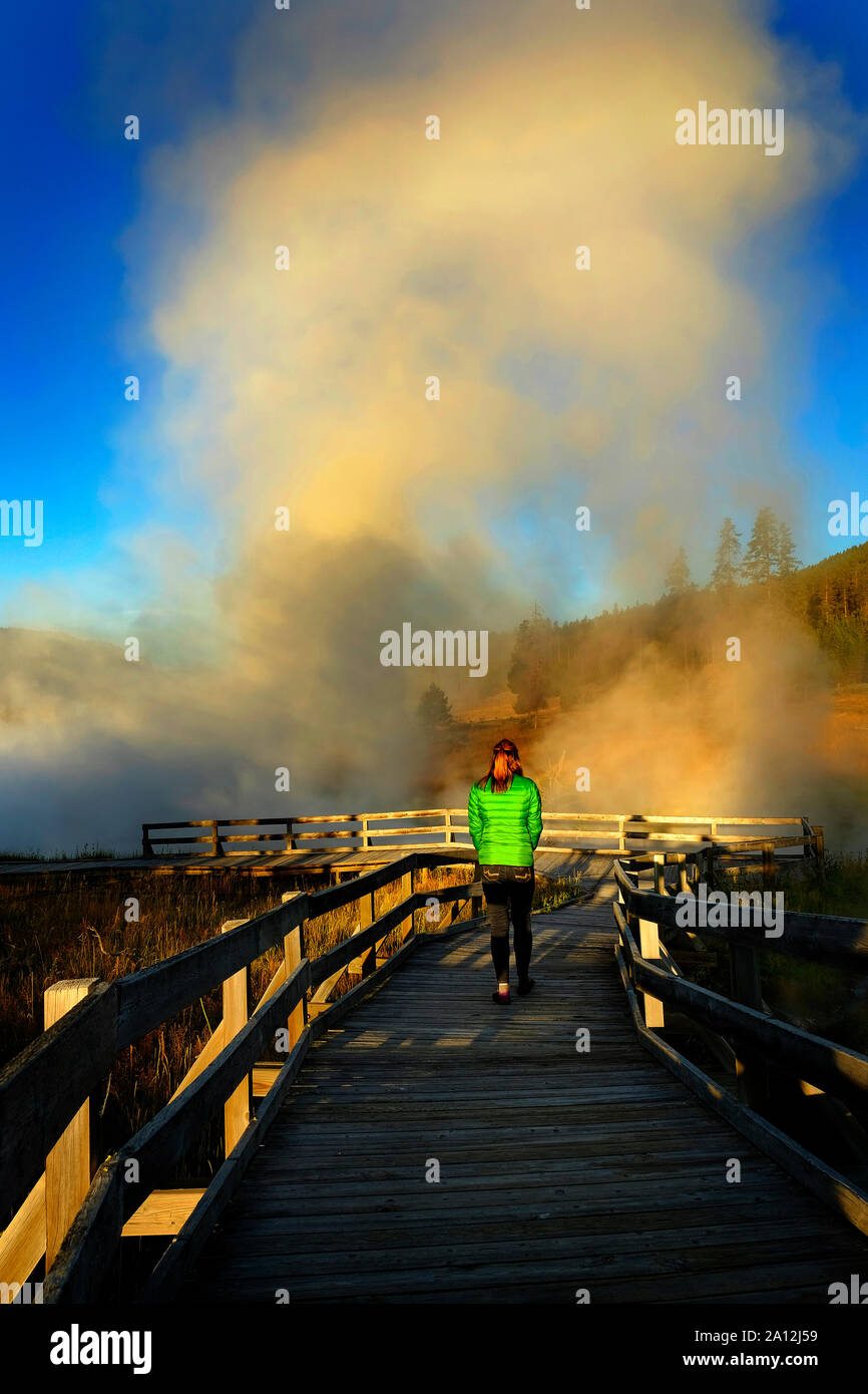 Boardwalk above hi-res stock photography and images - Alamy