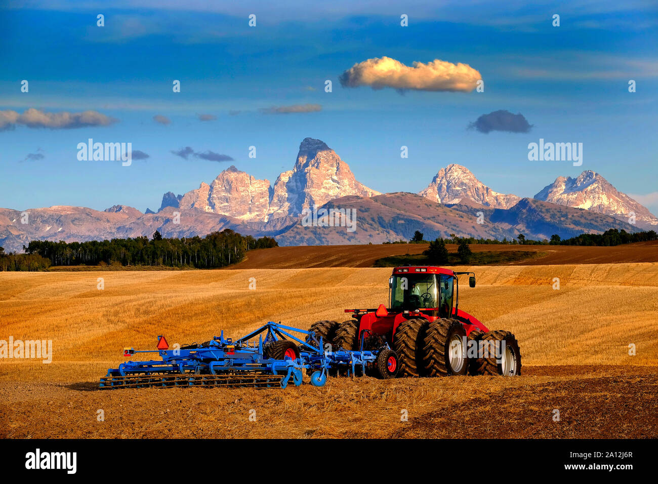 Tractor Equipment Farming Ground Harvesting crops in fall Autumn with ...