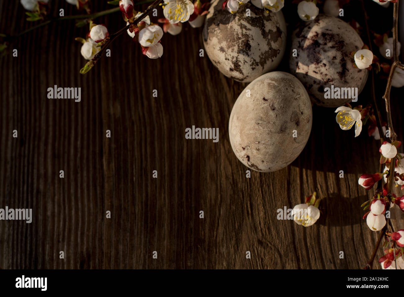 Colored eggs willow branches hi-res stock photography and images - Alamy