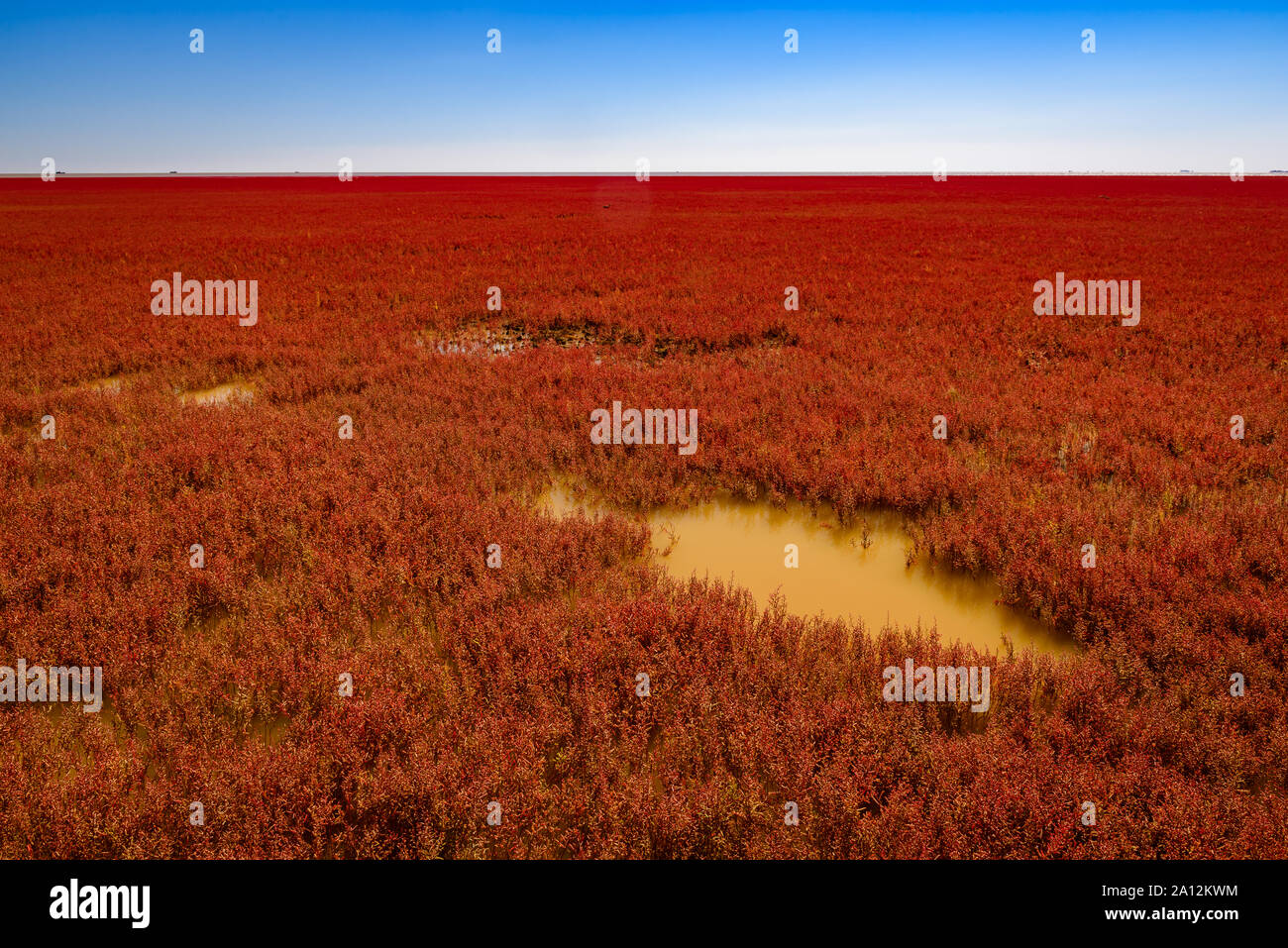 China panjin red beach hi-res stock photography and images - Alamy