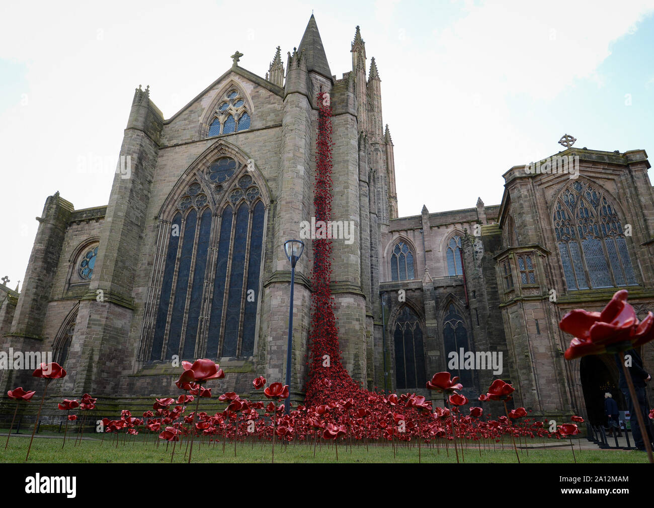 Weeping Window poppy display at Hereford Cathedral as part of the 14-18 ...