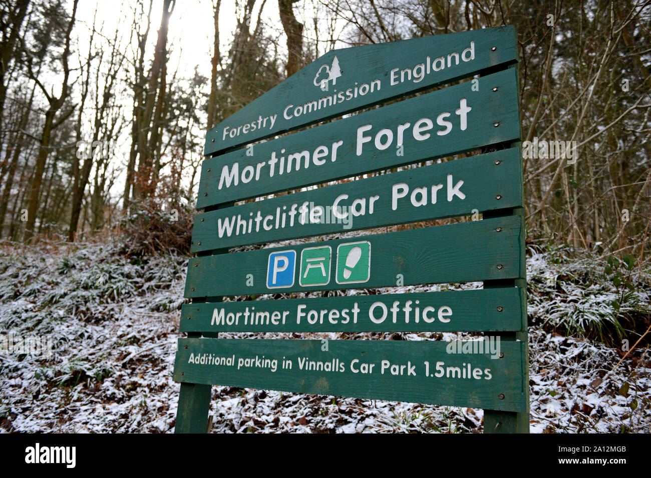 Mortimer Forest at Whitcliffe, near Ludlow Stock Photo - Alamy