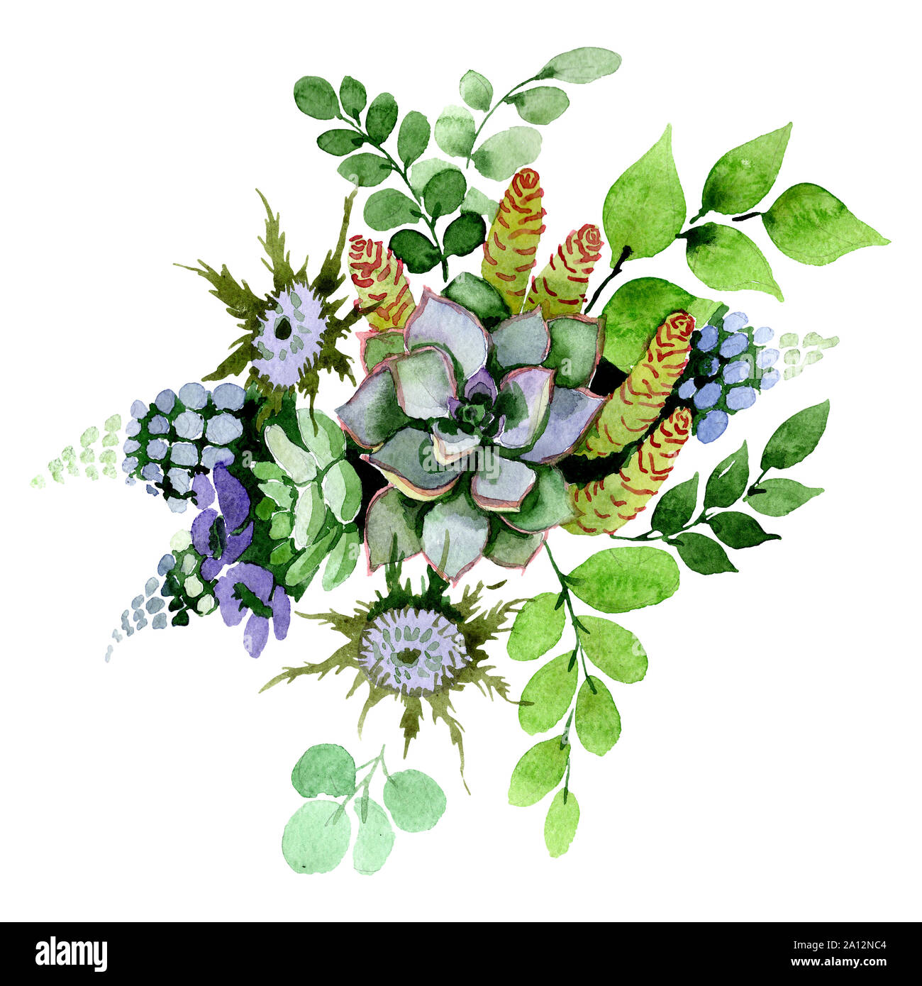 Bouquet floral botanical flower and leaves. Watercolor background set ...