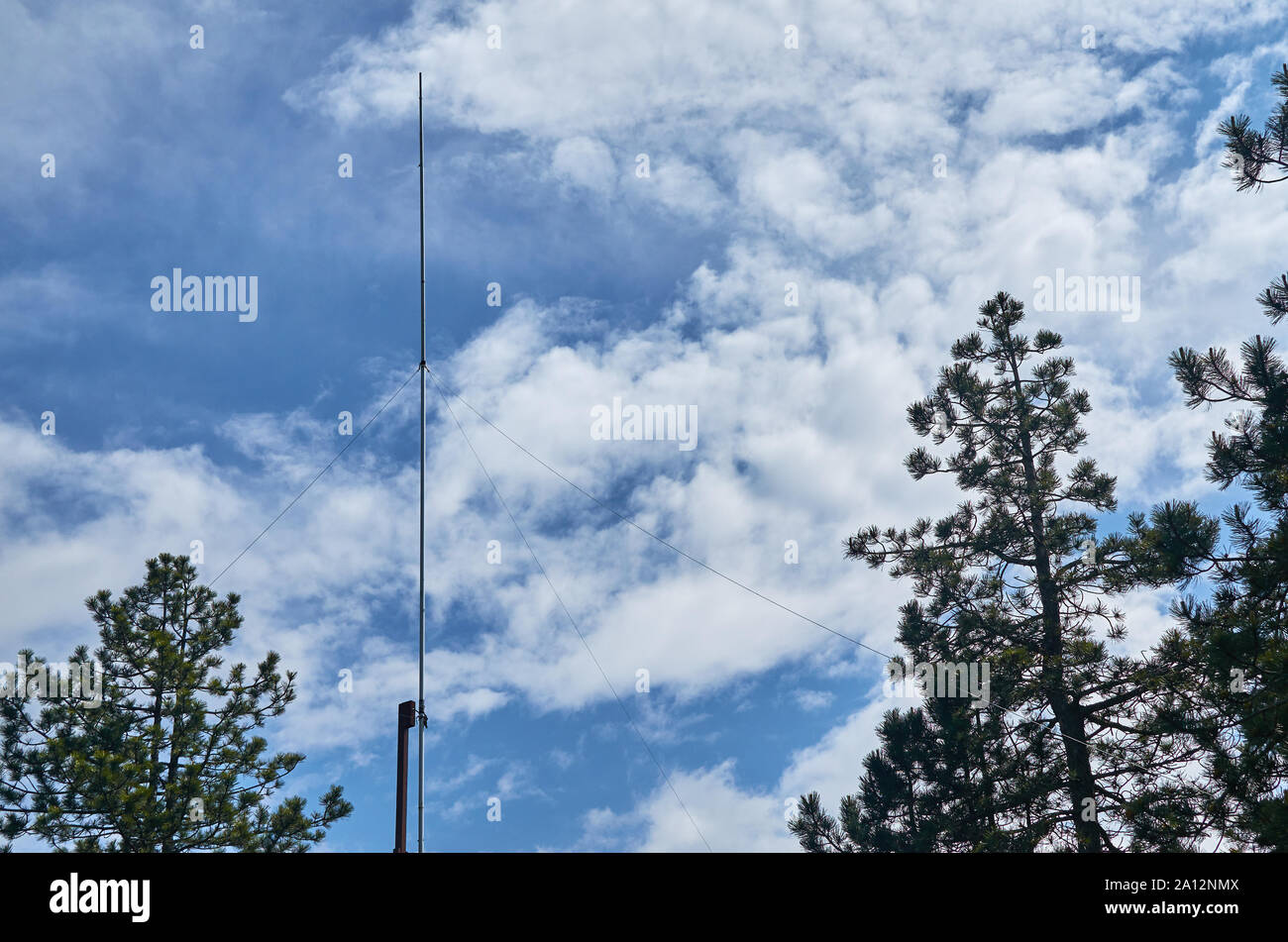 Lightning rod between coniferous tree tops against blue sky with white ...