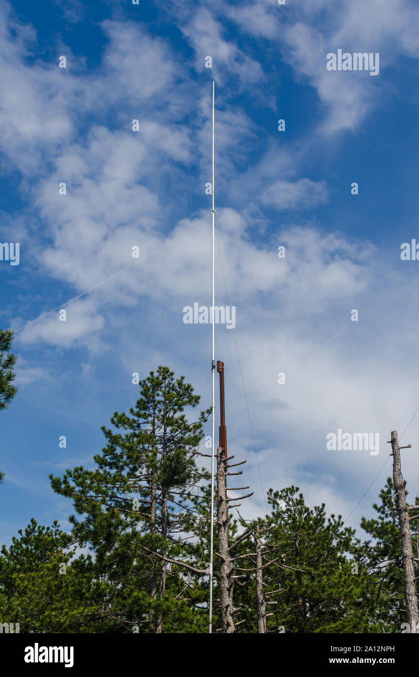 Lightning rod between coniferous tree tops against blue sky with white ...