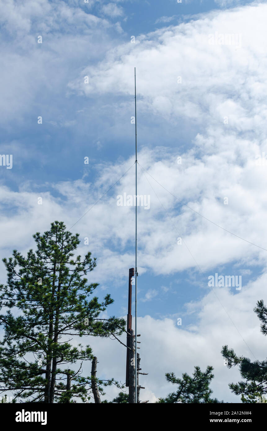 Lightning rod and coniferous tree top against blue sky with white ...