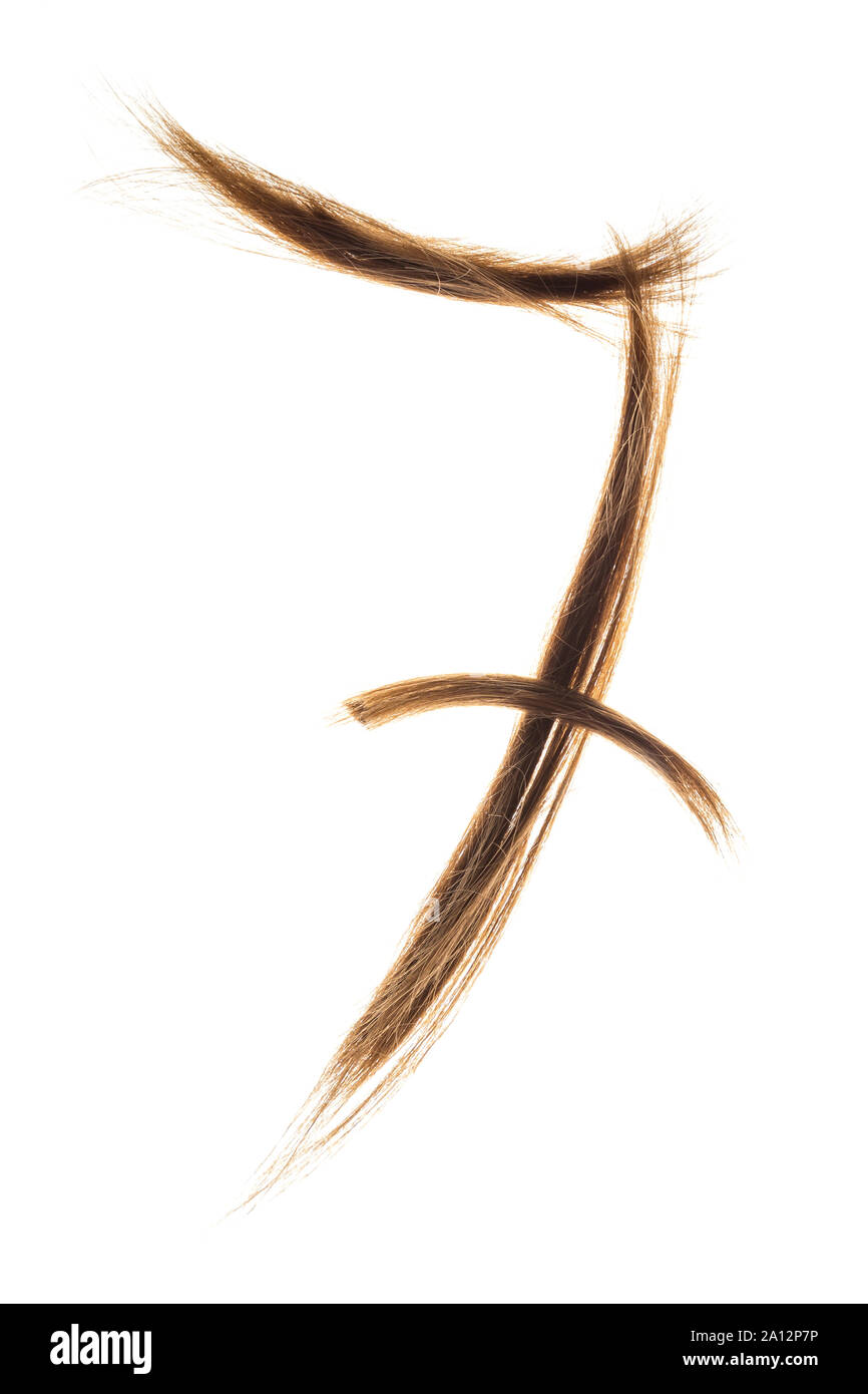 Number 7 made from cut out woman hair, isolated on white background ...