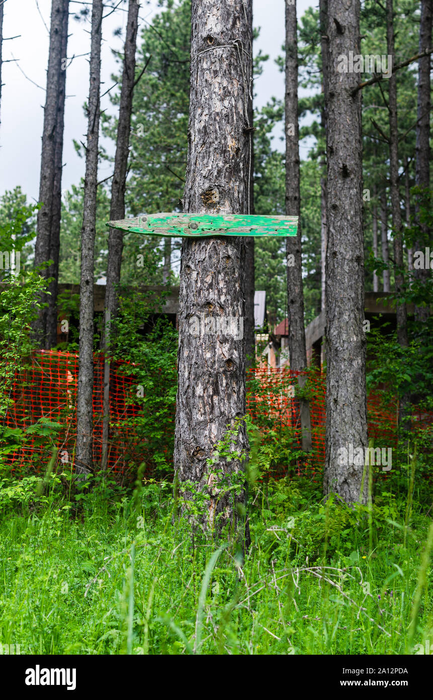 Handmade wooden sign on a mountain tree in a forest Stock Photo - Alamy