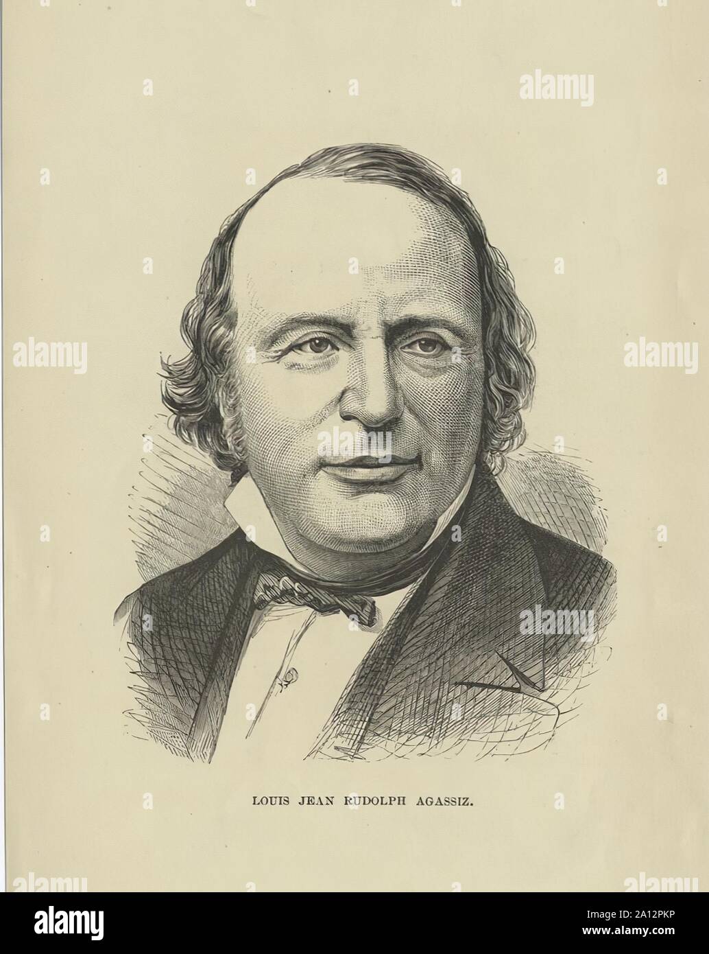 Louis Agassiz Swiss American Naturalist High Resolution Stock ...
