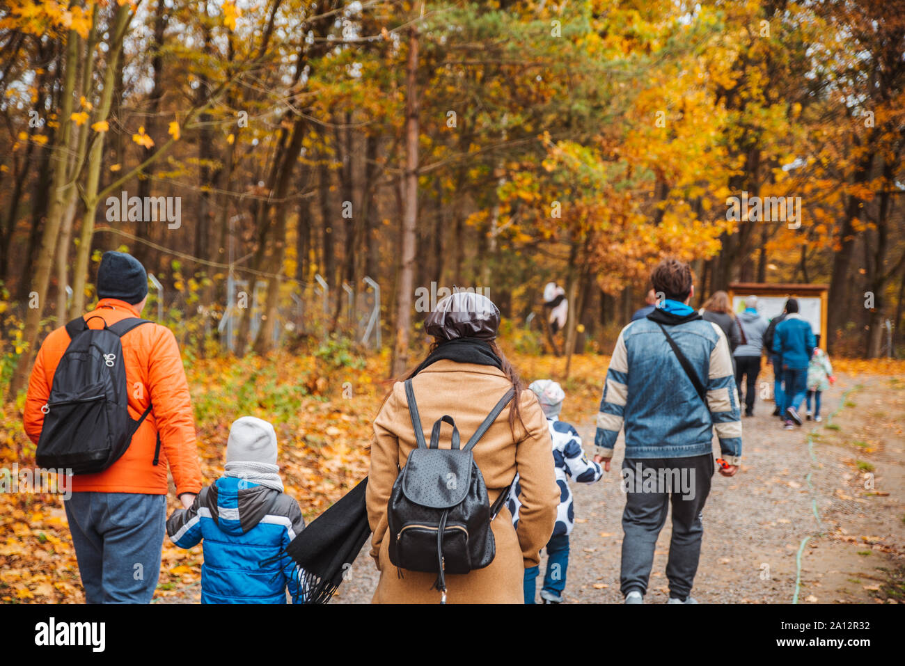 group of people walking by autumn forest trail Stock Photo - Alamy
