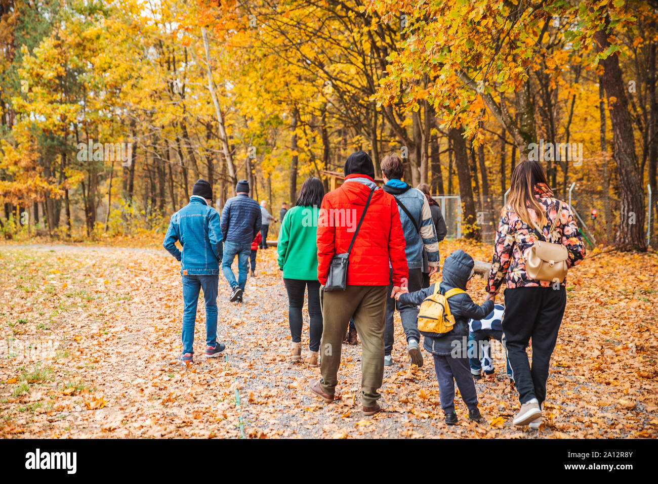 Autumn Photography People