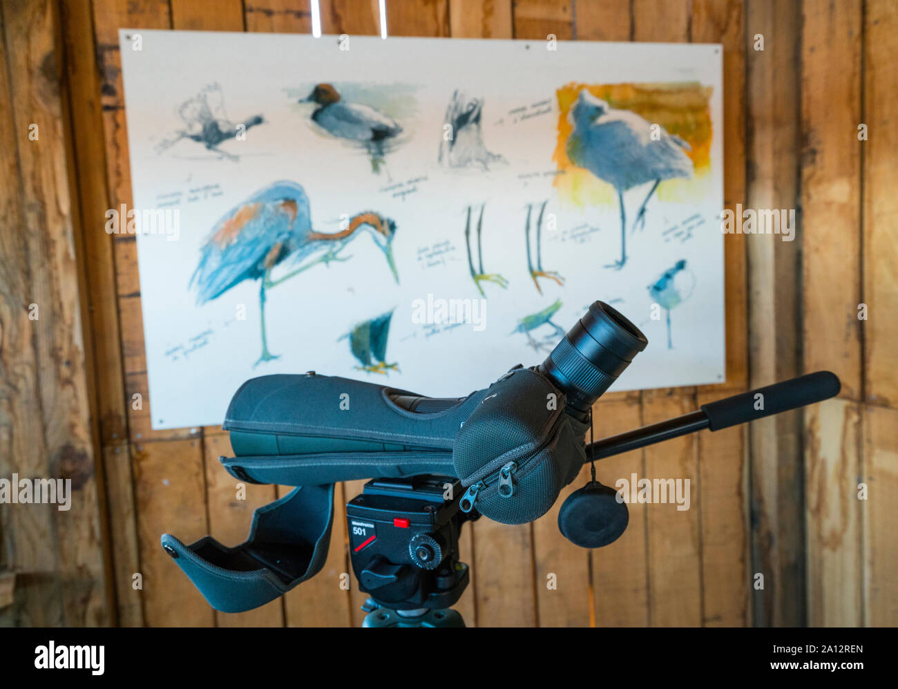 Birdwatching, or birding, wildlife observation, Réserve Naturelle ...
