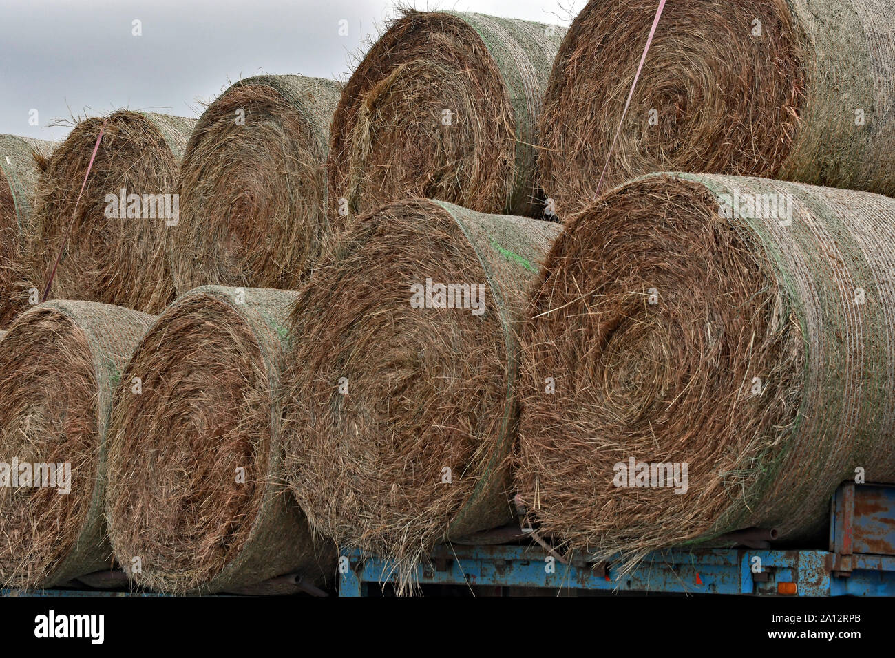 Storing moisture hi-res stock photography and images - Alamy