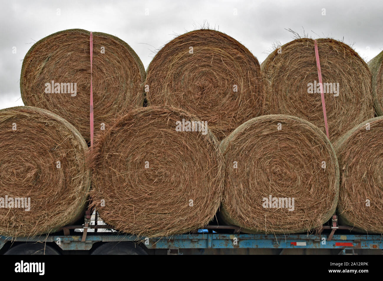 Storing moisture hi-res stock photography and images - Alamy