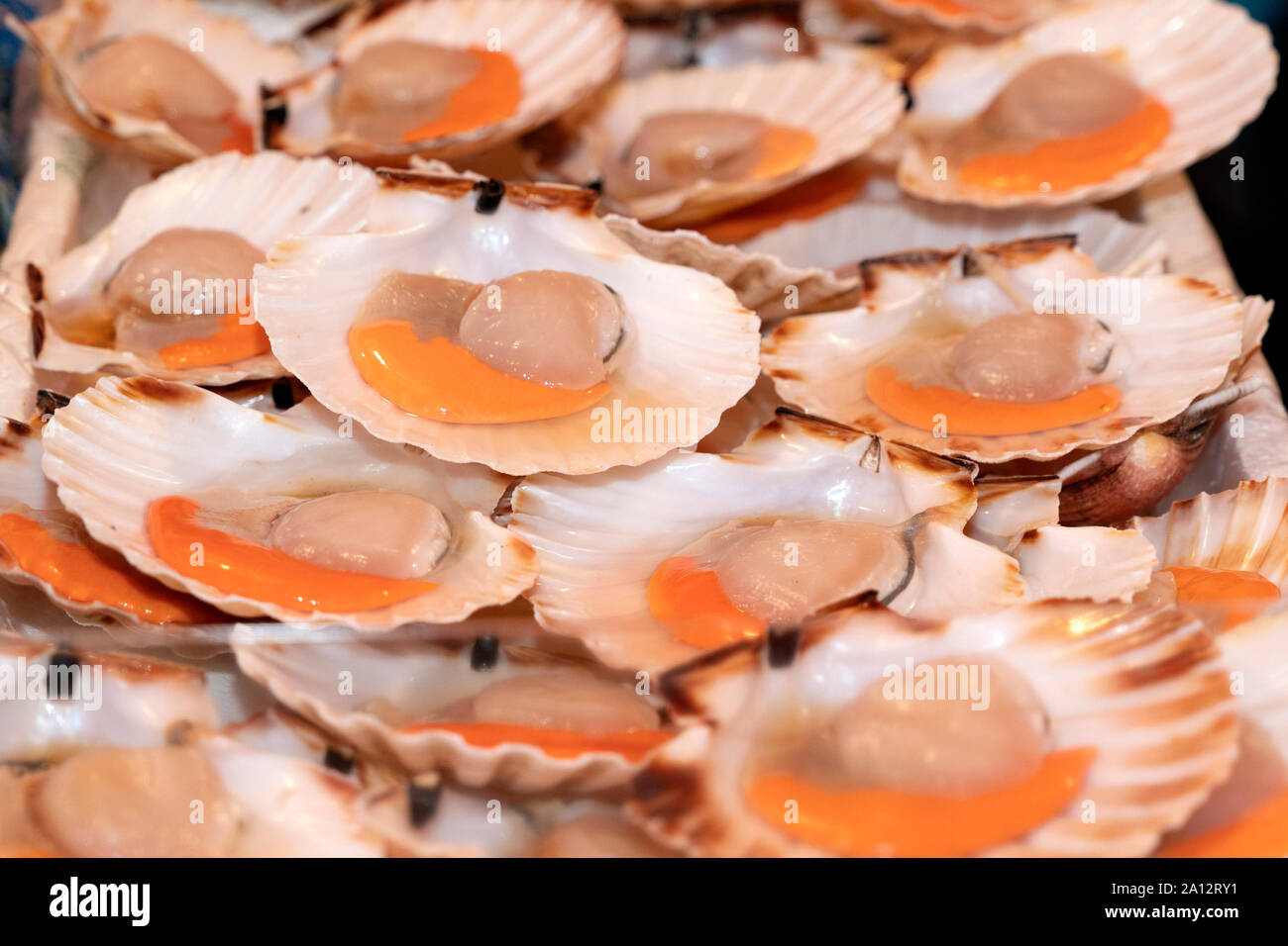 fresh scallops clams at fish market detail Stock Photo - Alamy