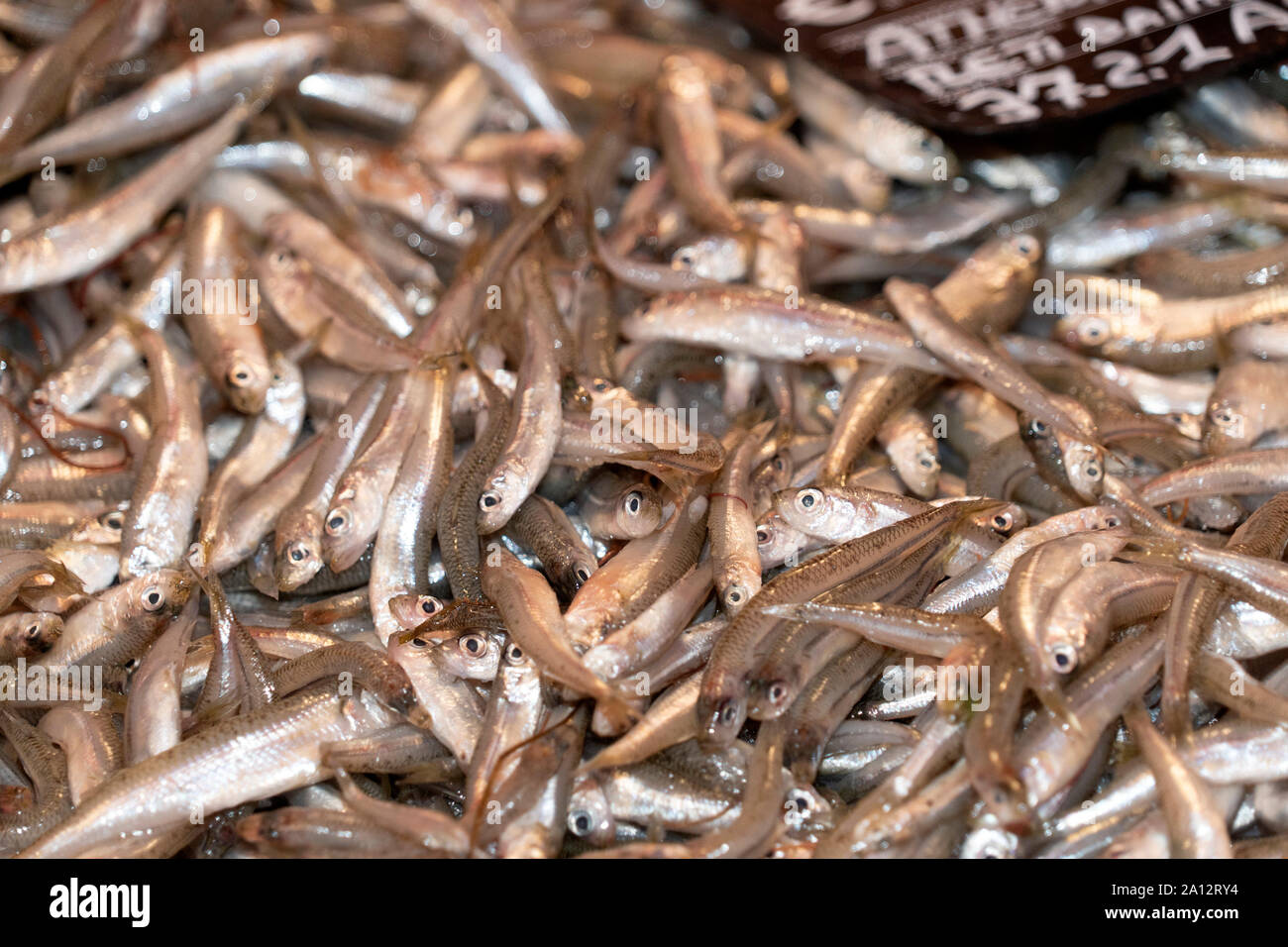 Pile fresh raw sardines seafood hi-res stock photography and images - Alamy