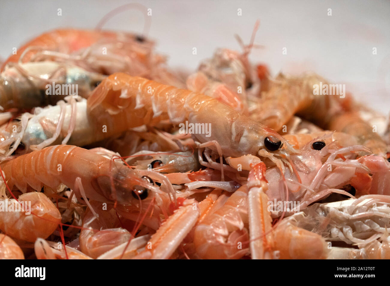 Fresh scampi at fish market detail Stock Photo - Alamy
