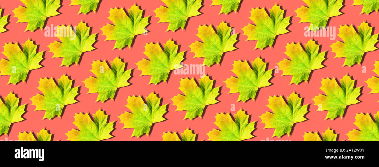 Creative layout of colorful autumn leaves. Banner with yellow, orange ...
