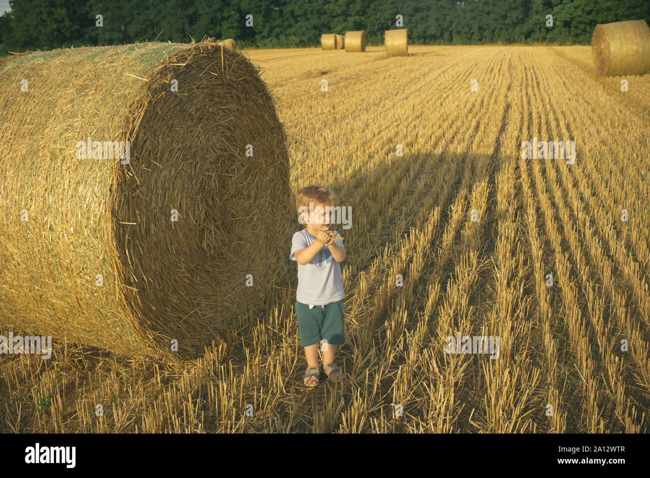 Hay roll texture beautiful hi-res stock photography and images - Alamy