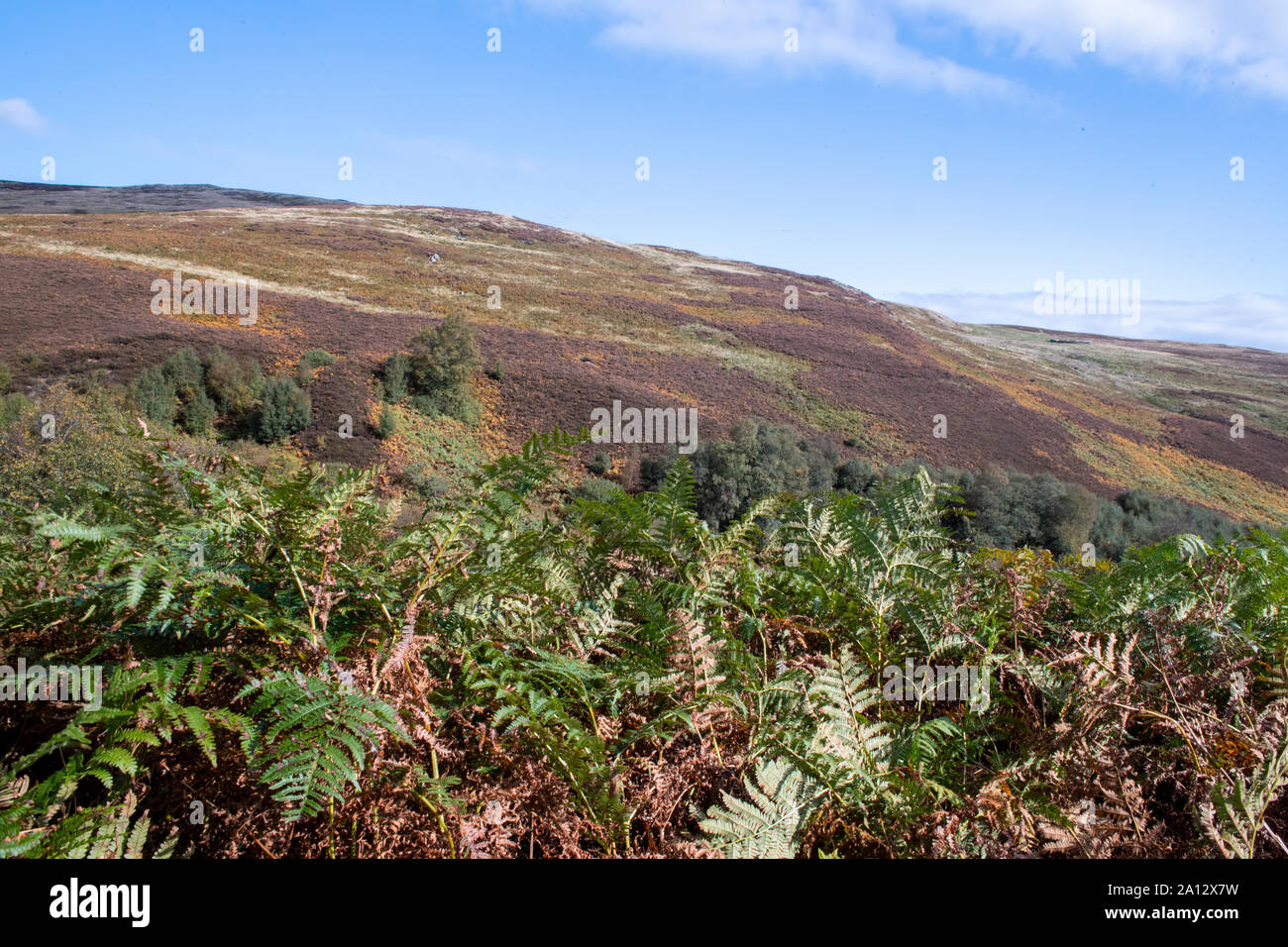 Breamish northumberland hi-res stock photography and images - Alamy